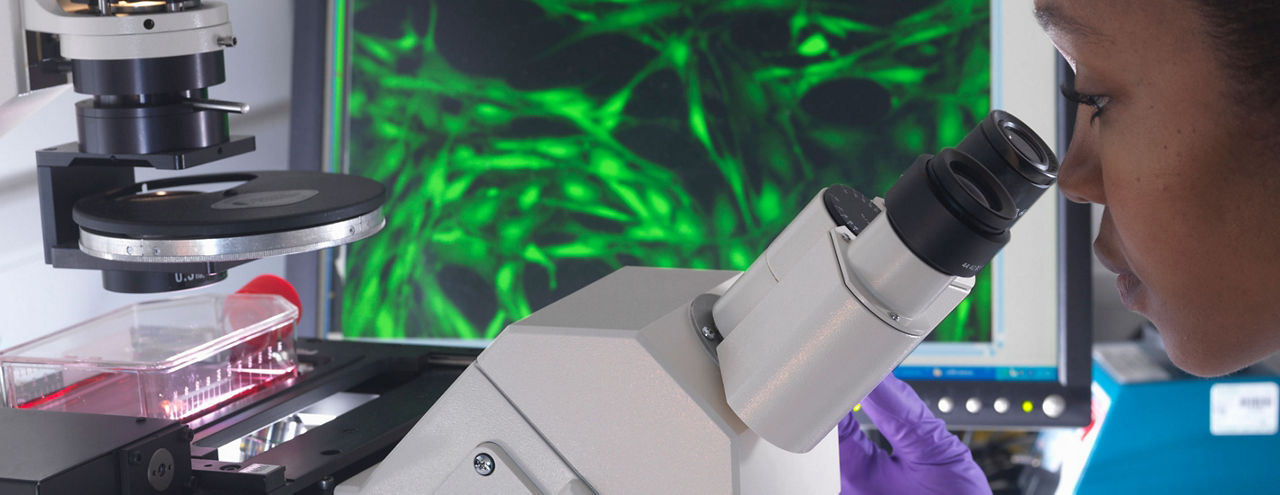 Motheye Anti-Reflective Technology | Molex