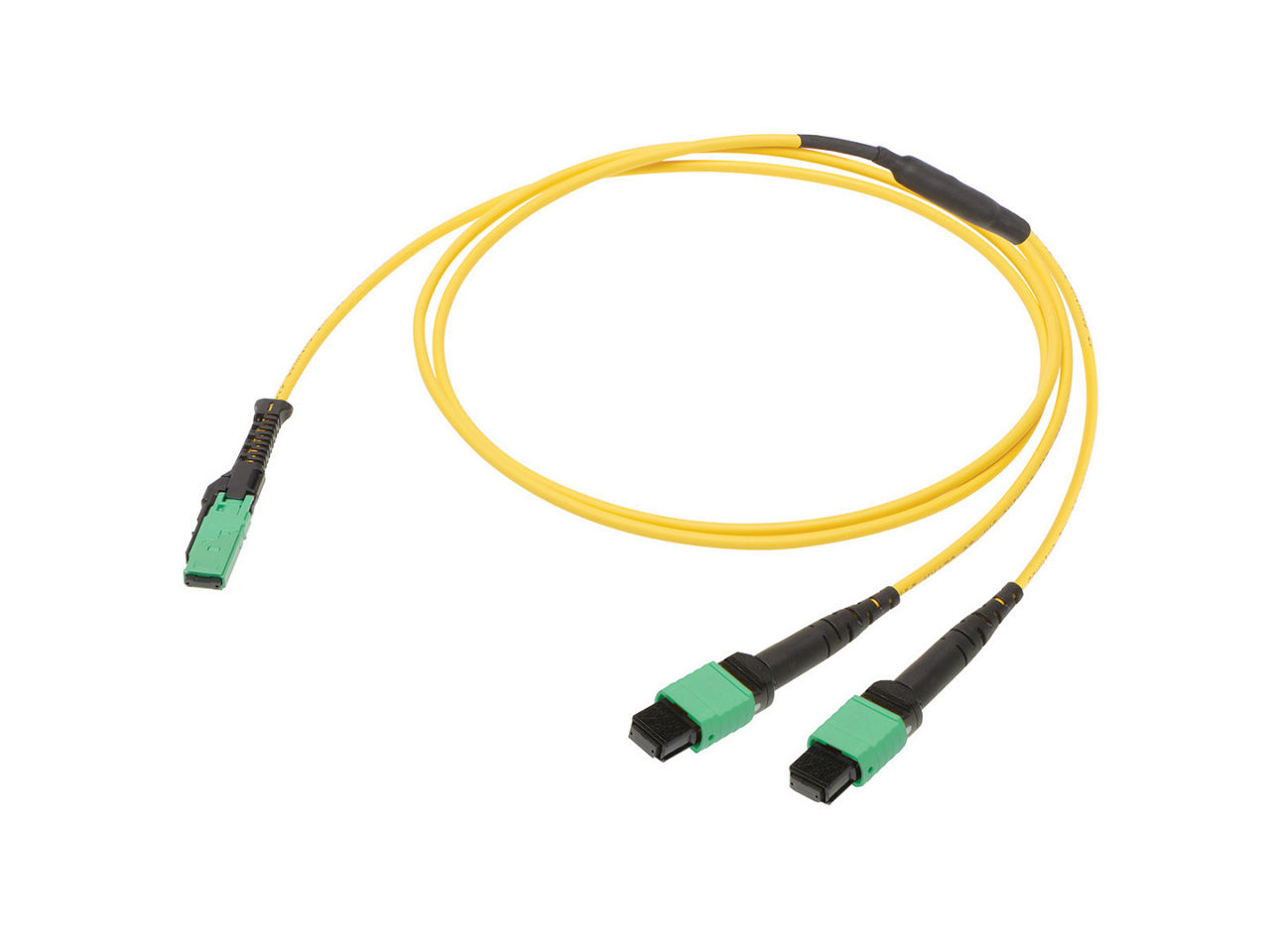 MPO Cables and Adapters | Molex